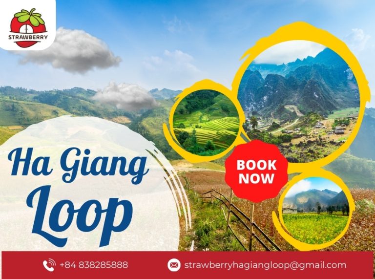 Khám Phá Ha Giang Loop Với Những Cảnh Quan Hùng Vĩ Cùng Strawberry House - Checking